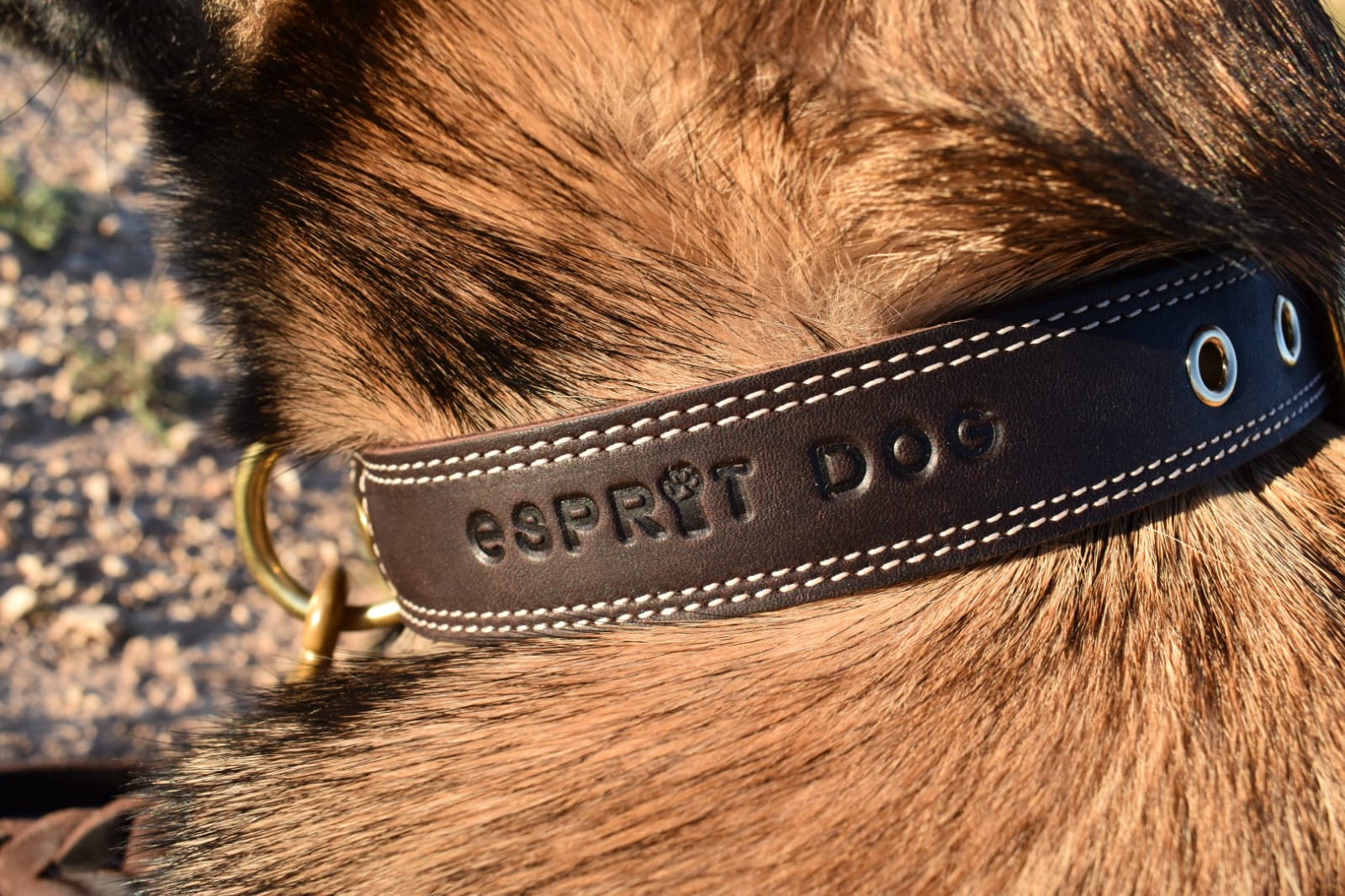 Collier - Esprit Dog