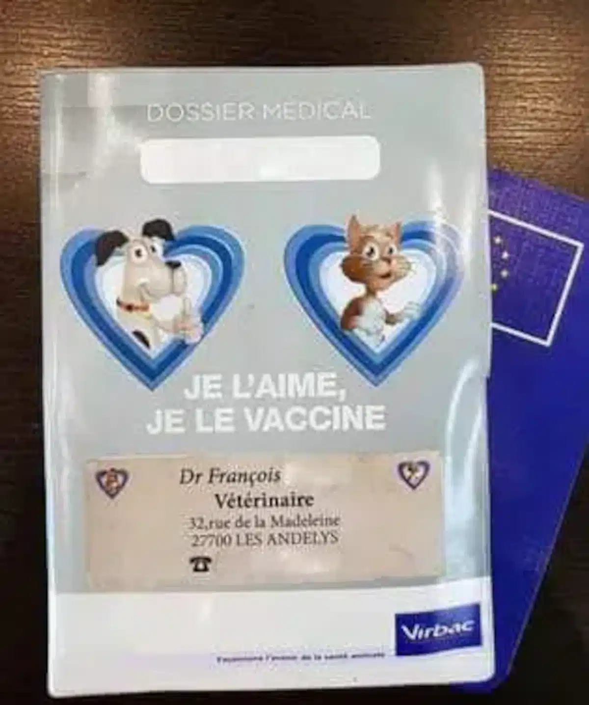 L'identification du chien : à quoi ça sert ? - Esprit Dog