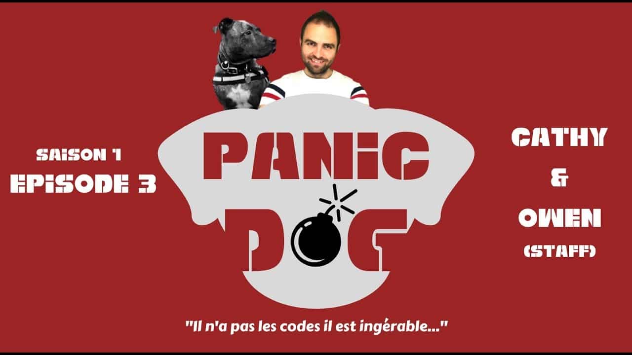 PANIC DOG - Saison 1 - Ep3 - Un Amstaff ingérable - espritdog.com
