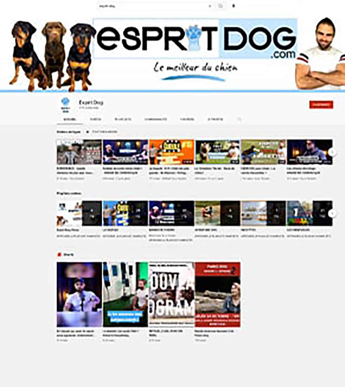 Aider les refuges grâce à notre chaîne YouTube - Esprit Dog