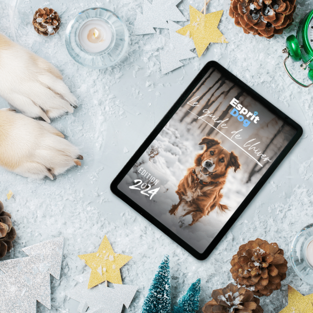 Le Guide de l'hiver 2024 - Esprit Dog