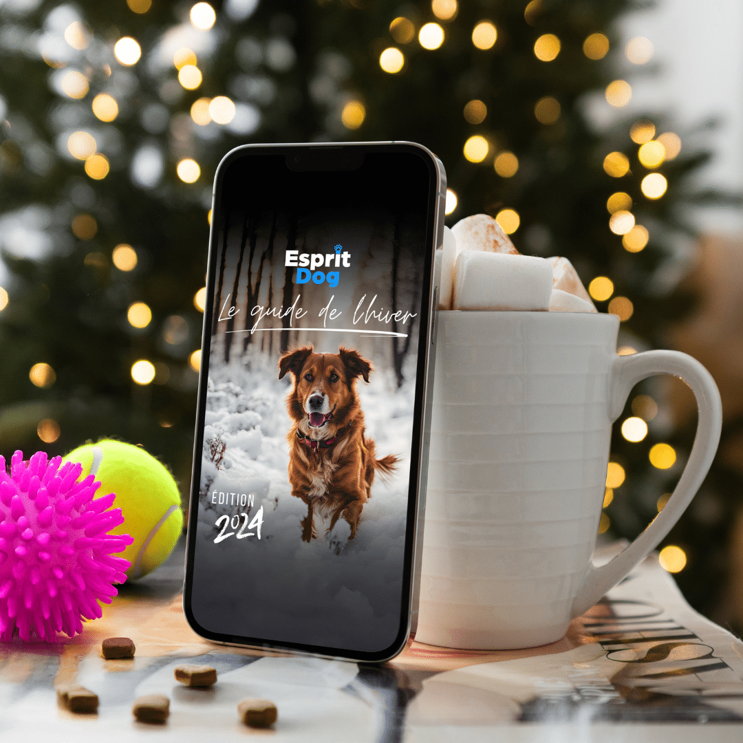Le Guide de l'hiver 2024 - Esprit Dog